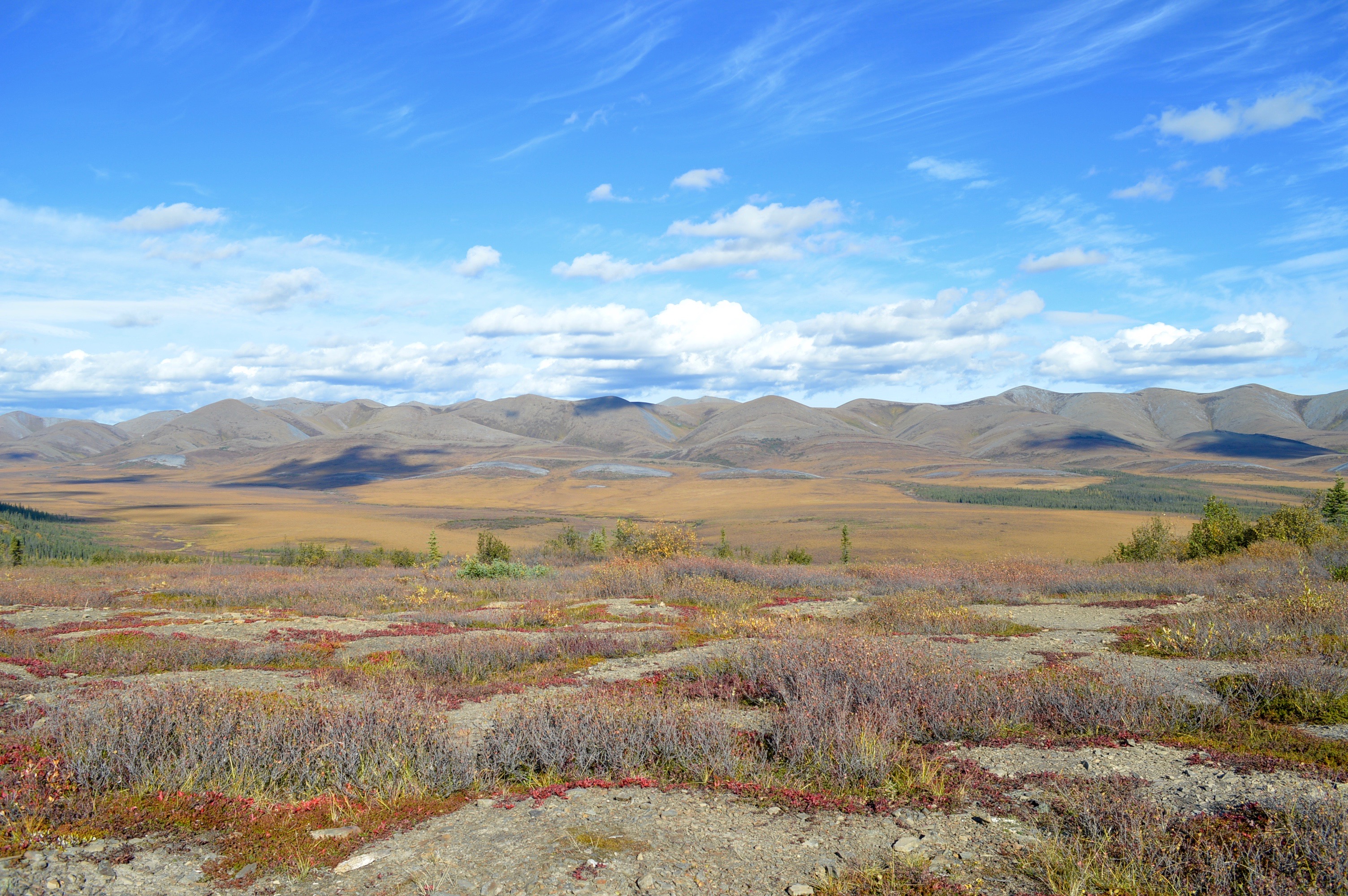 5 Reasons why you’ll fall in Love with the Dempster - Tundra North Tours